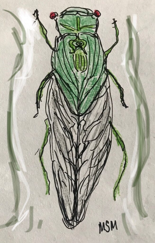 Lessons from Bugs – Mary Writes